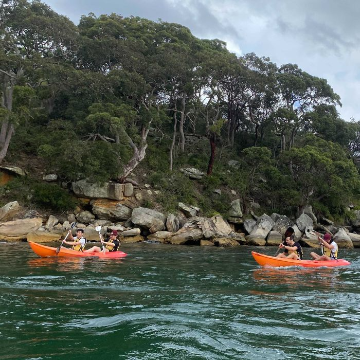 Careers at Insight Timer — #1 Free Meditation App